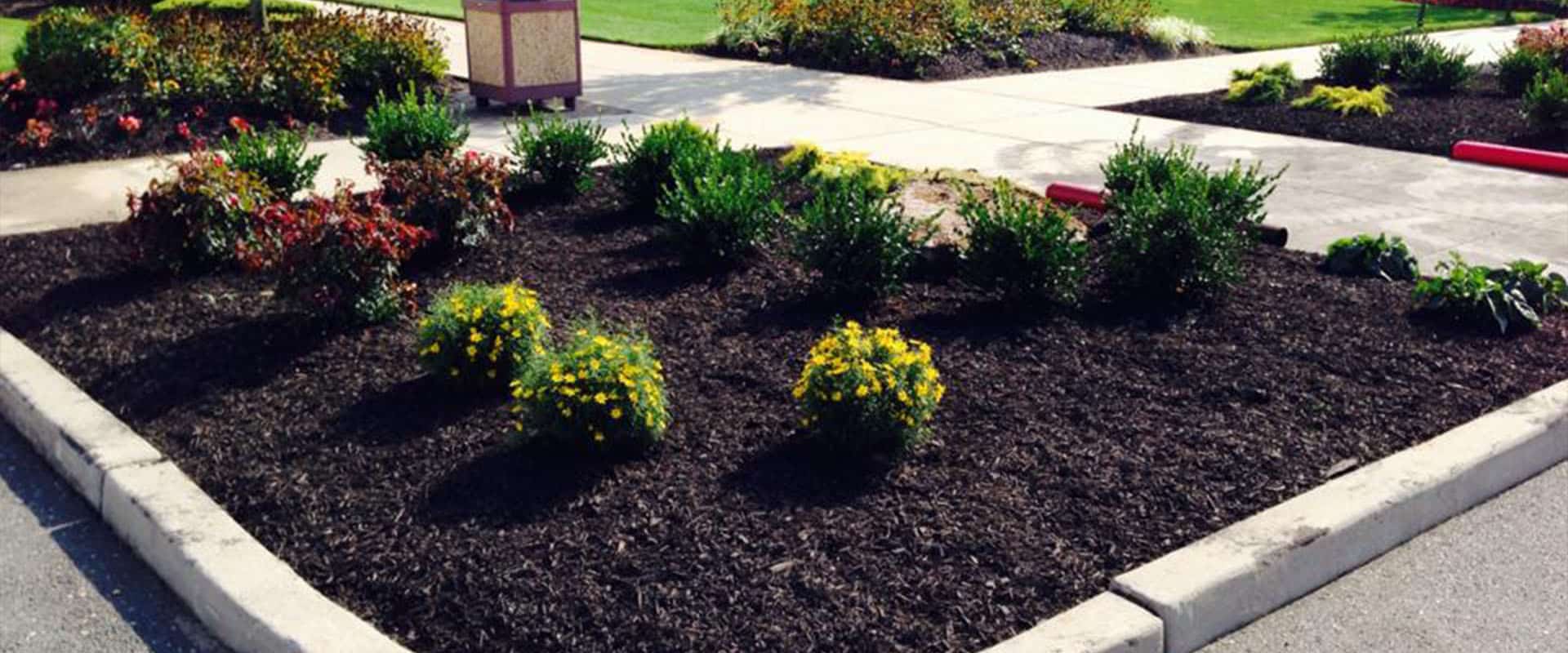 Mulch to Discuss: How to Determine the Right Depth and Type of Mulch ...